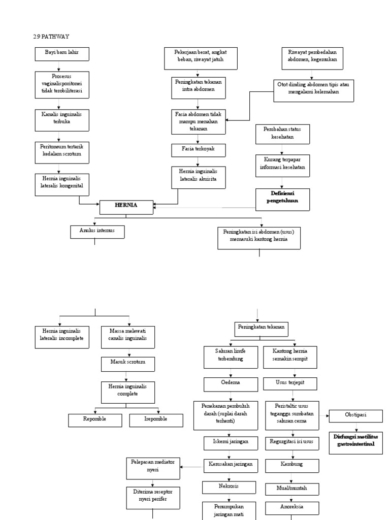 Pathway Hernia | PDF