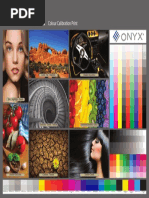 ONYX Quality Evaluation PDF | PDF | Yellow | Magenta