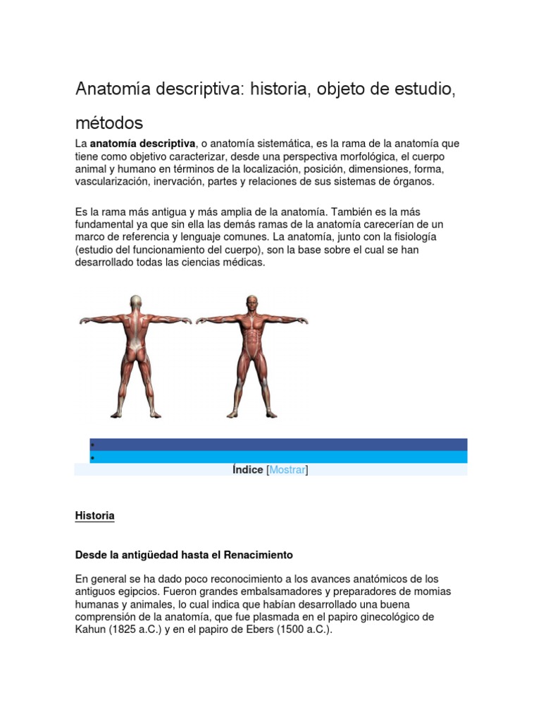 Anatomía Descriptiva | PDF | Anatomía | Naturaleza
