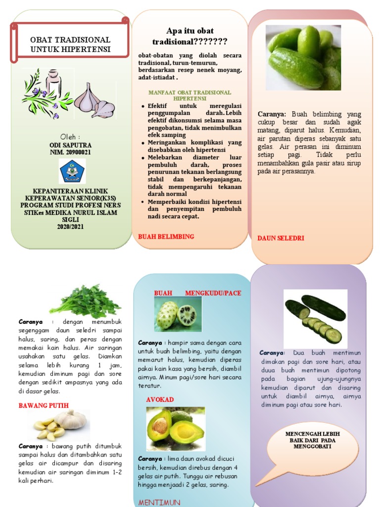 Leaflet Obat Herbal | PDF