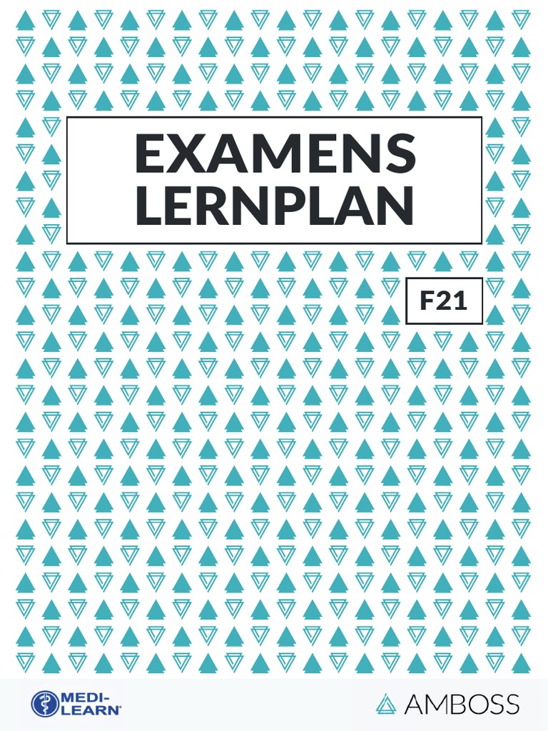 Lernplan Examen April 21 | PDF