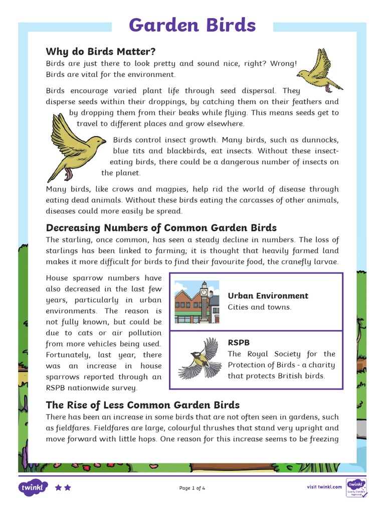 Garden Birds Differentiated Reading Comprehension Activity | PDF ...