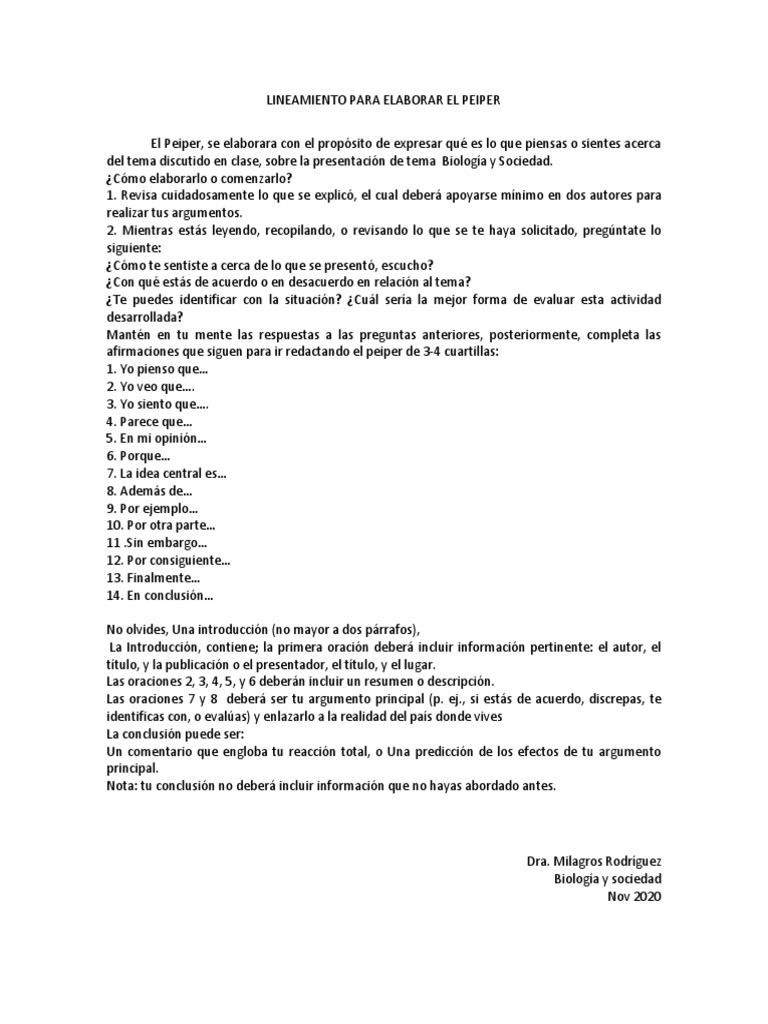 Lineamiento para Elaborar El Peiper | PDF