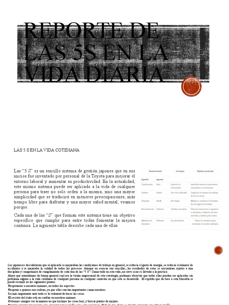 Reporte de Las 5s en La Vida Diaria | PDF