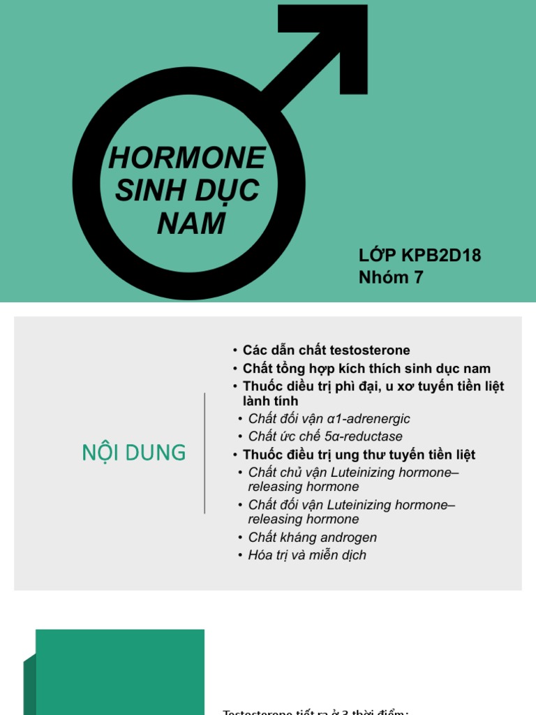 Nhóm 7 Hormon Sinh D C Nam | PDF