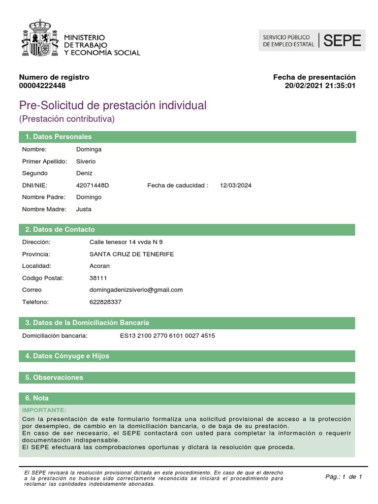 Pre-Solicitud de Prestación Individual | PDF