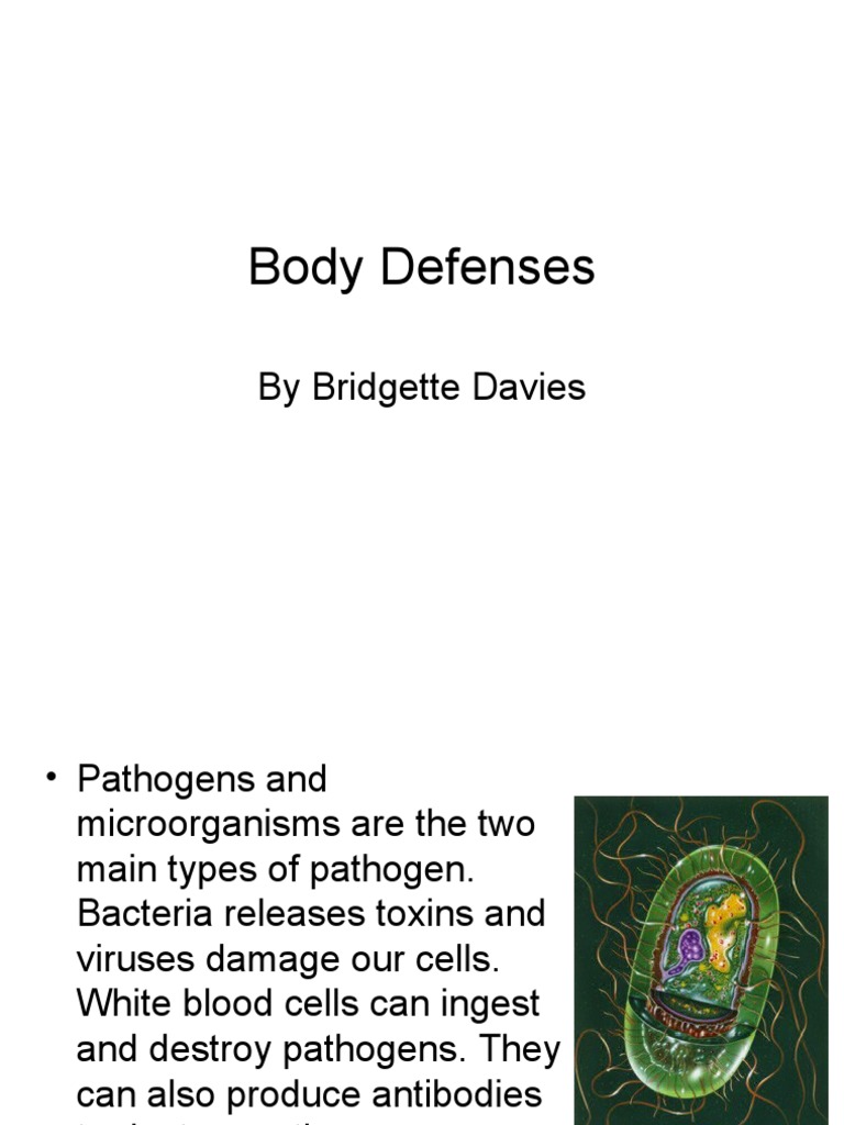 Body Defenses: by Bridgette Davies | PDF | Pathogen | Penicillin