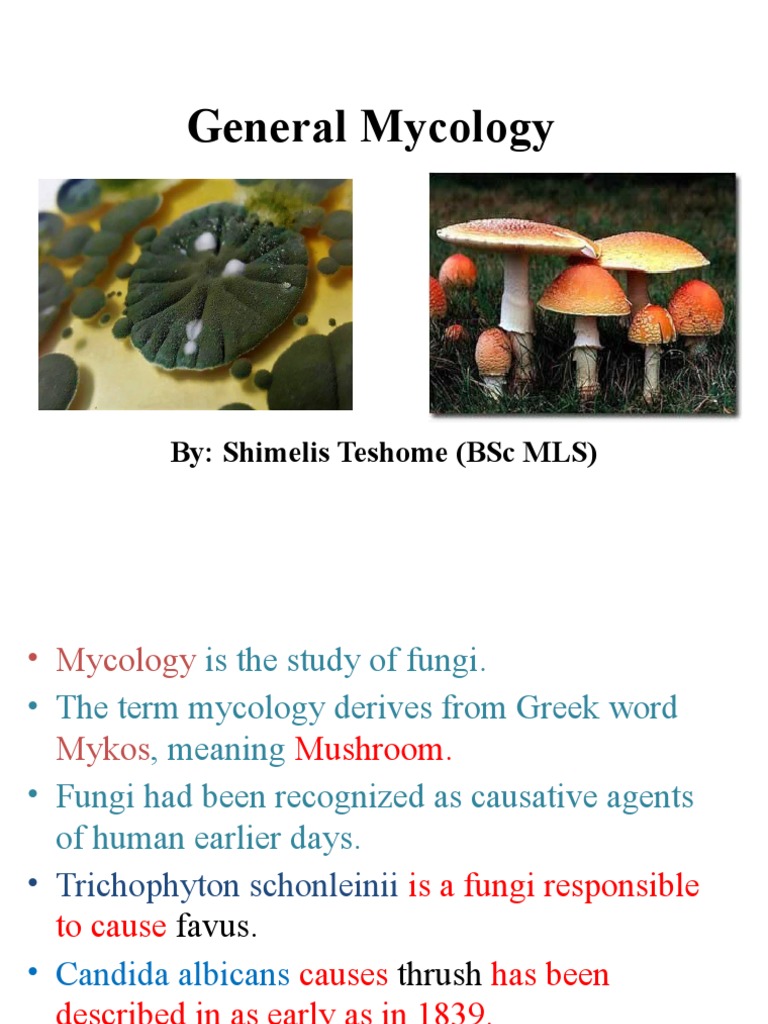 General Mycology | PDF | Fungus | Mycology