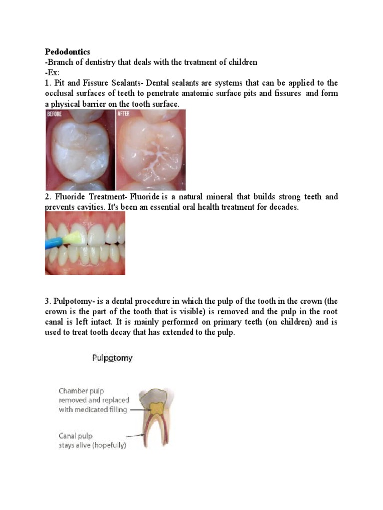 Branches of Dentistry Handout | PDF | Dentistry | Periodontology
