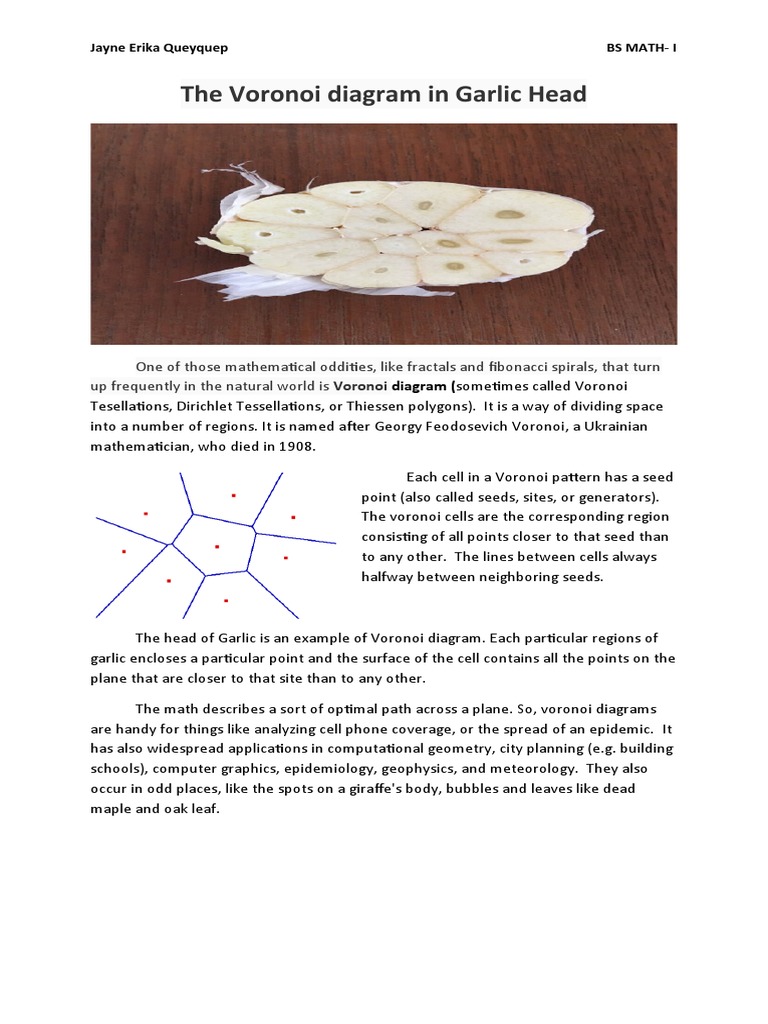 The Voronoi Diagram in Garlic Head | PDF