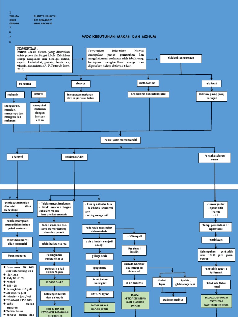 Woc Nutrisi Dan Cairan | PDF