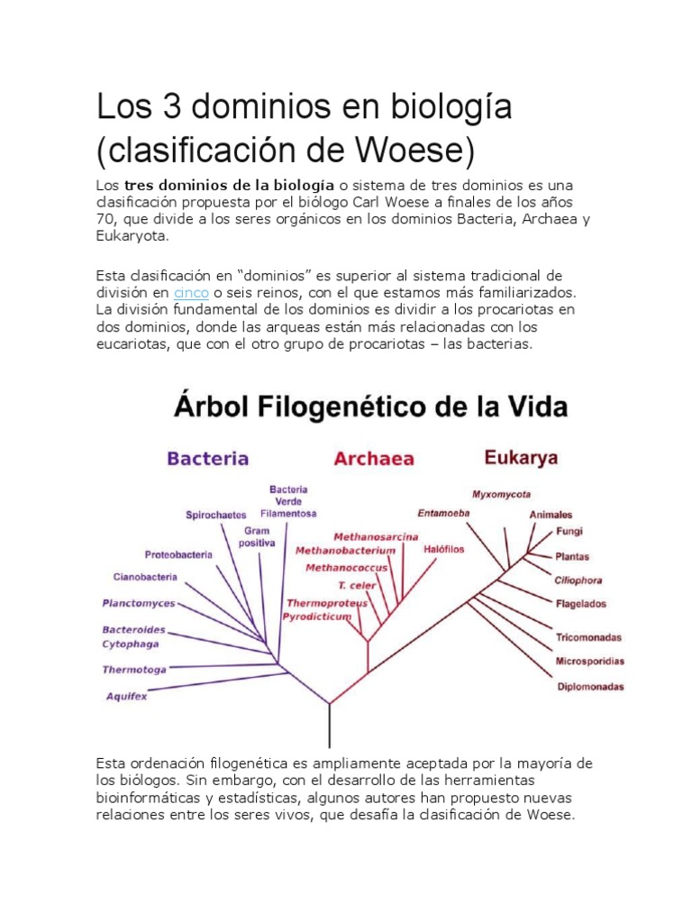 Dominios Bacteria Archaea Y Eukarya Pdf Três Domínios Brasil