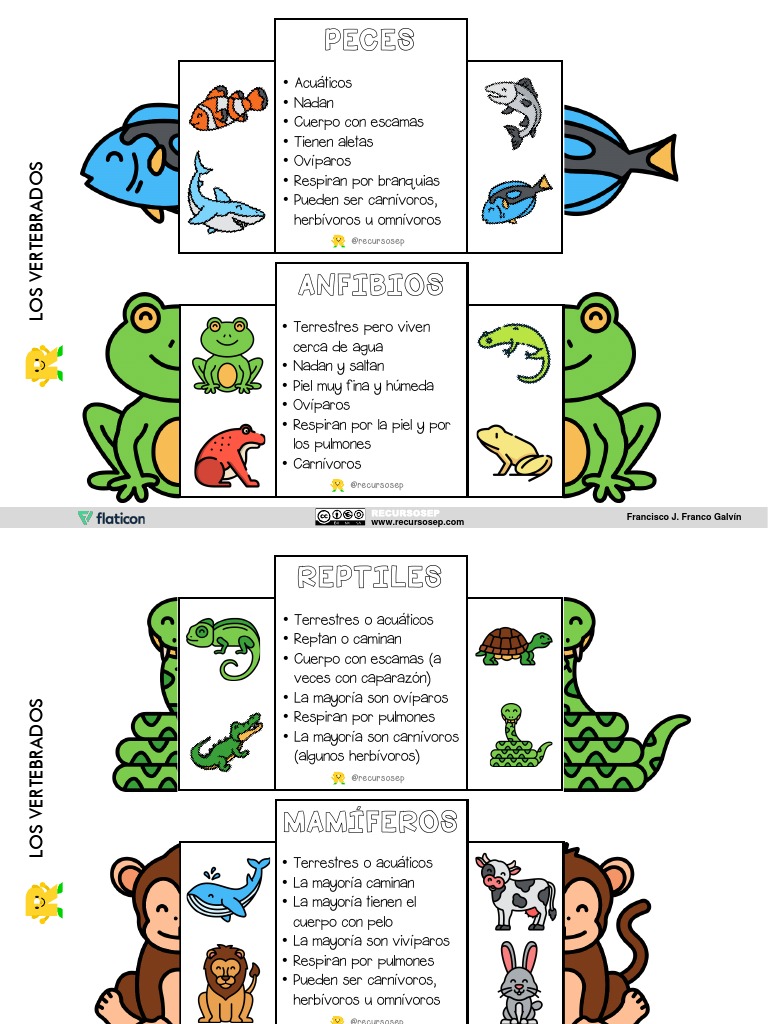 Animales Vertebrados Material Plegable Recursosep | PDF