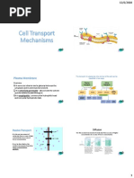 Cell Transport Concept-Map | PDF | Membrane Biology | Life Sciences