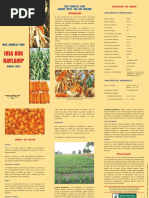 Ficha Técnica Del Pasto Marandú (Brachiaria Brizantha Cv. Marandú ...