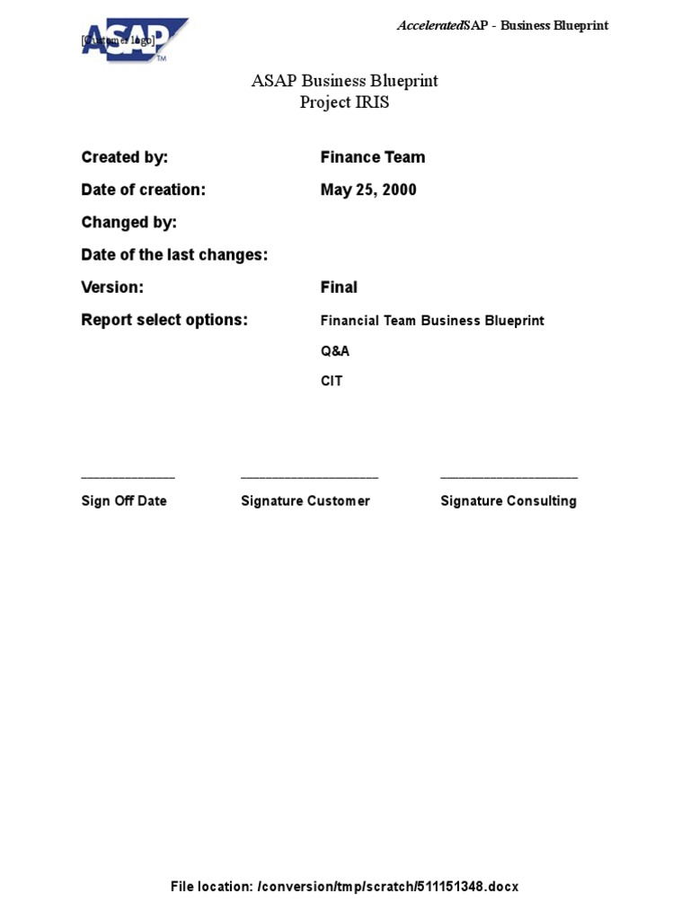 ASAP Business Blueprint | PDF | Payments | Invoice