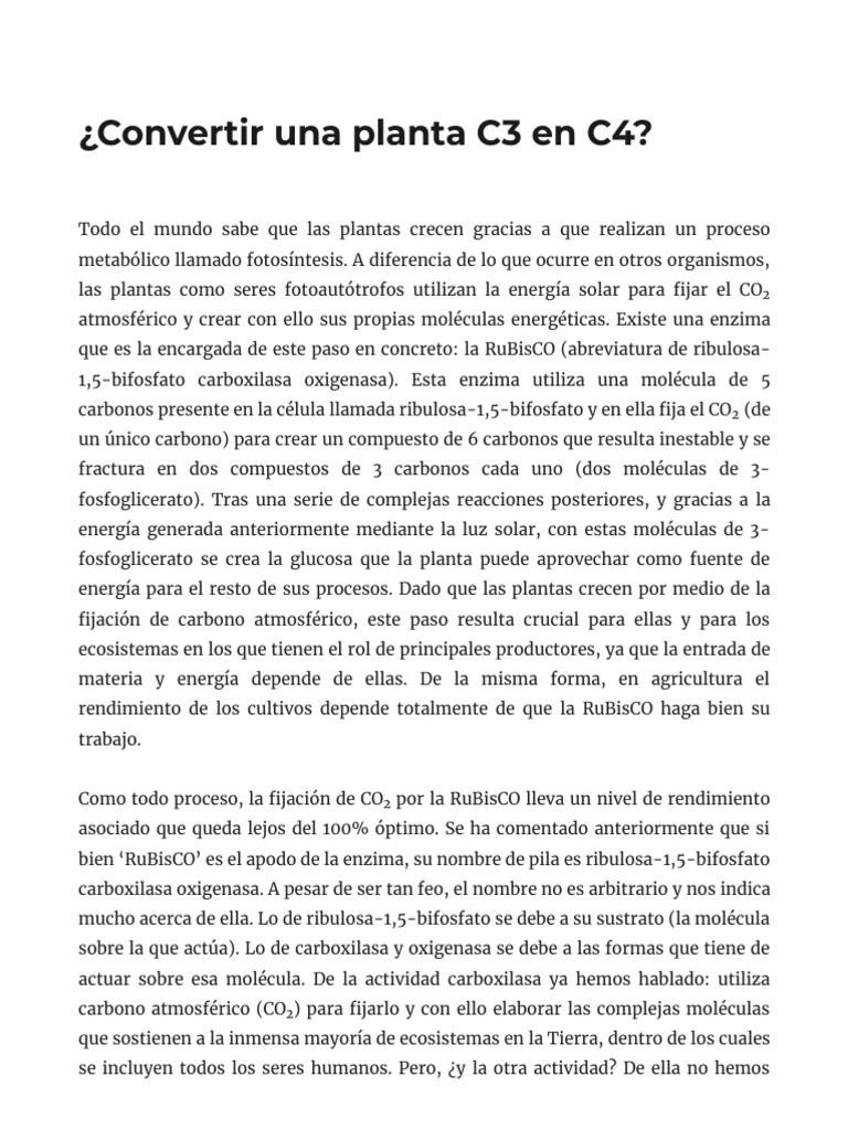 Conversión de plantas C3 a C4 | PDF | Enzima | Plantas