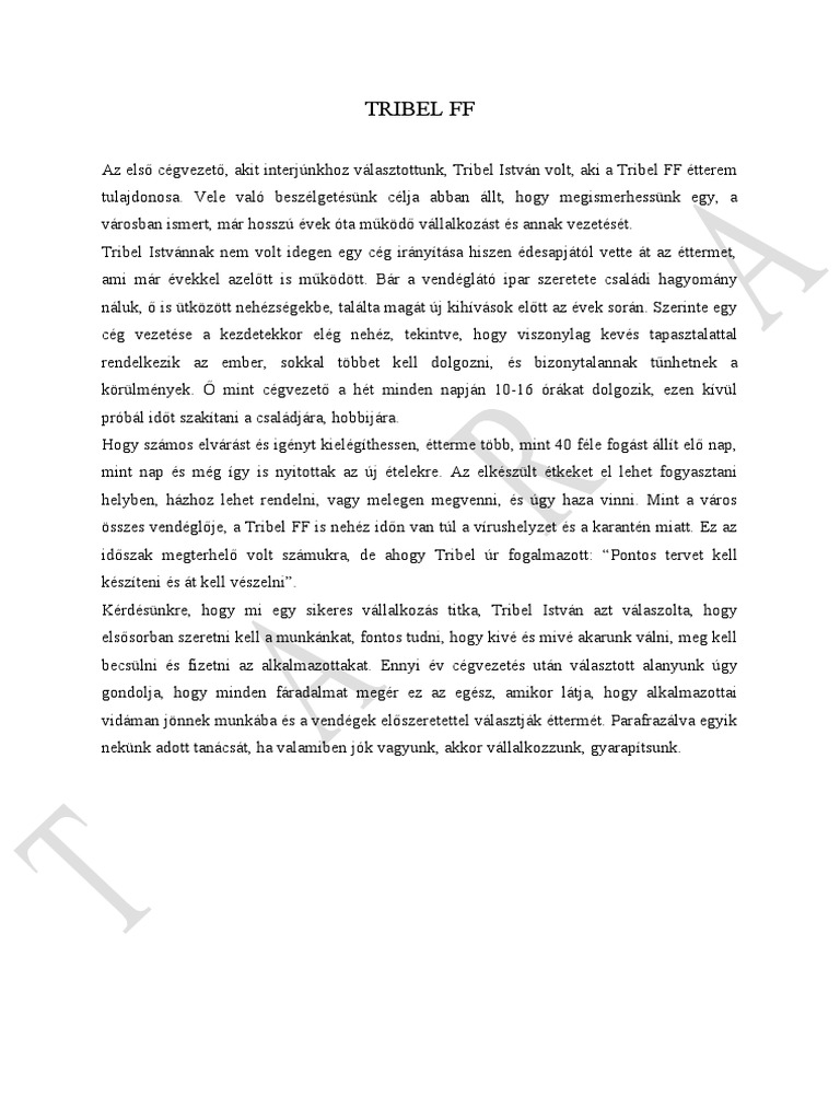 TRIBEL FF Tribel István Interjú - Összefoglaló | PDF