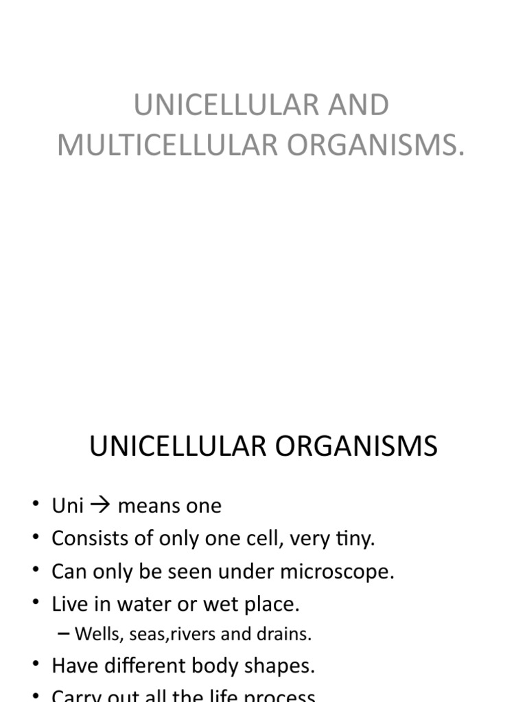 Unicellular vs Multicellular Organisms | PDF