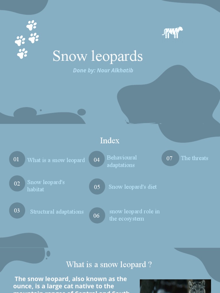 Snow Leopards: Done By: Nour Alkhatib | PDF | Leopard | Nature