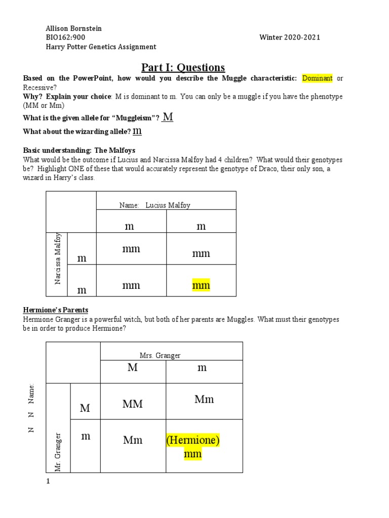 Harry Potter Genetics Assignment | PDF | Dominance (Genetics) | Zygosity