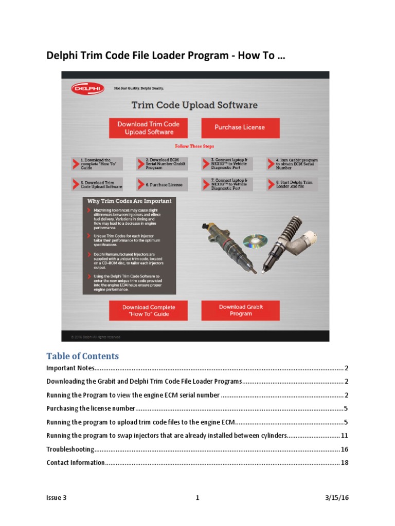 Delphi Trim Code File Loader Program - How To | PDF | Icon (Computing ...