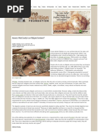 The Gluttonous Beast - StreetCatWiki | PDF | Cats