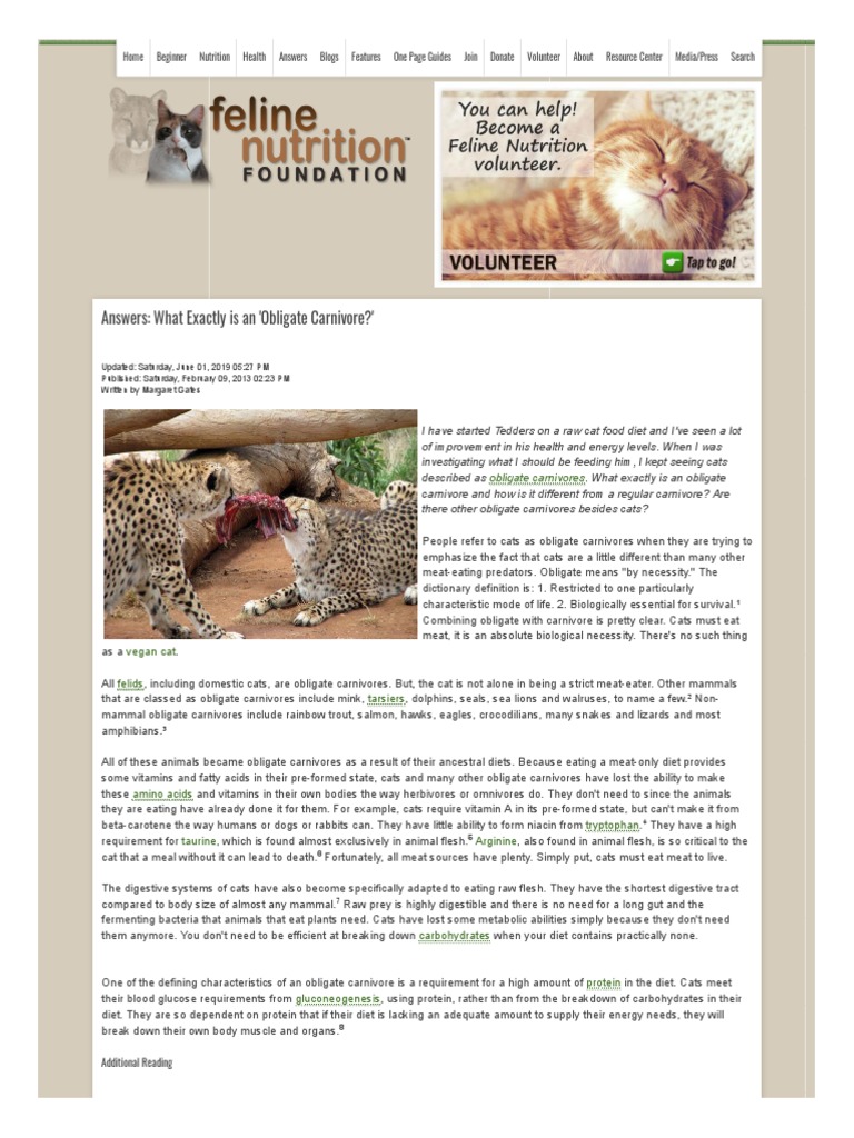 Answers: What Exactly Is An 'Obligate Carnivore?' | PDF | Biology ...
