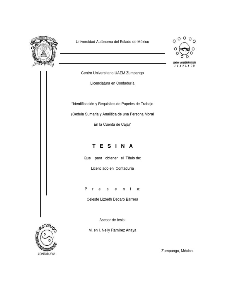 Cedula Sumaria | PDF | Auditoría | Empresas