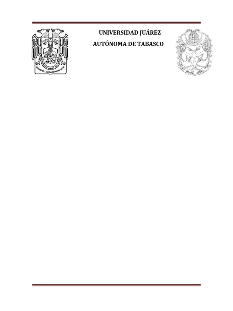 Actividad 6 Caso Practico | PDF