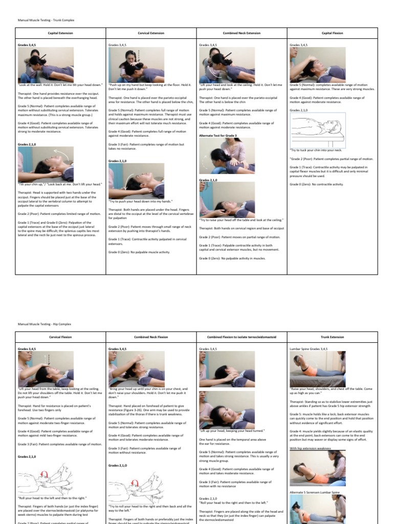 Screenshot - Trunk Complex | PDF | Pelvis | Anatomical Terms Of Motion