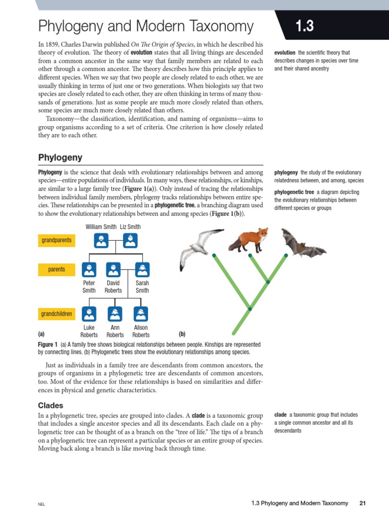 SBI3U - Textbook Pages and Worksheets | PDF | Eukaryotes | Taxonomy ...