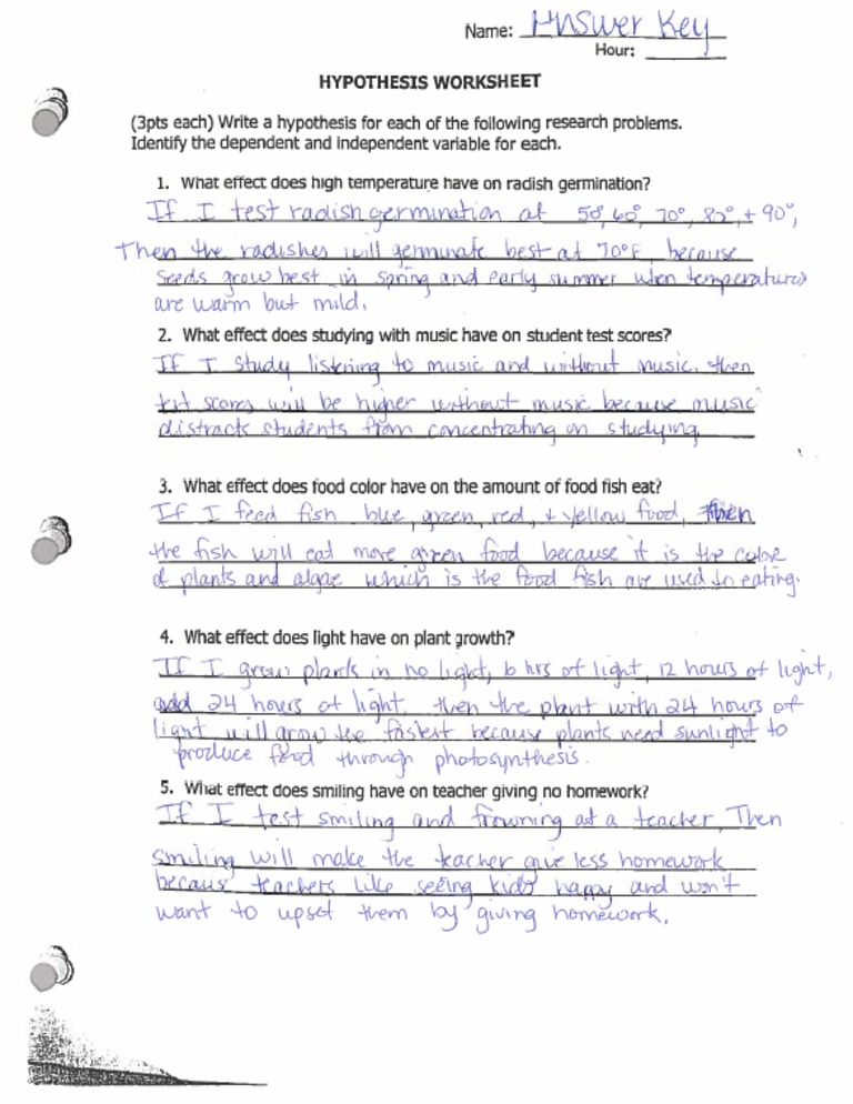 Hypothesis Practice Worksheet Answer Key | PDF