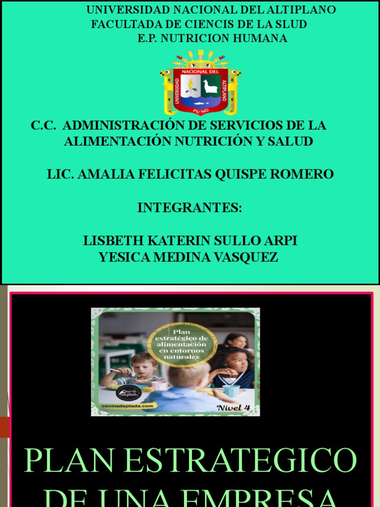 Plan Estrategico en Alimentacion Completo | PDF | Planificación ...