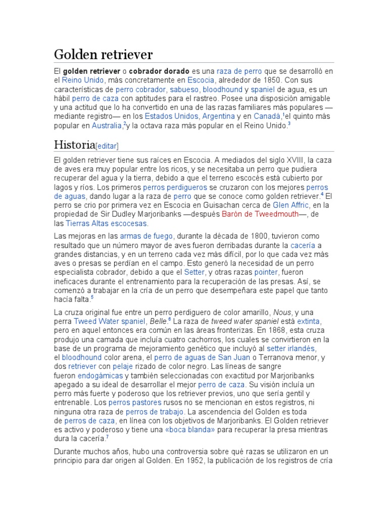 Golden Retriever | PDF | Golden Retriever | Perros de caza