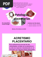 Episiotomía y Episiorrafia | PDF | Parto | Medicina CLINICA
