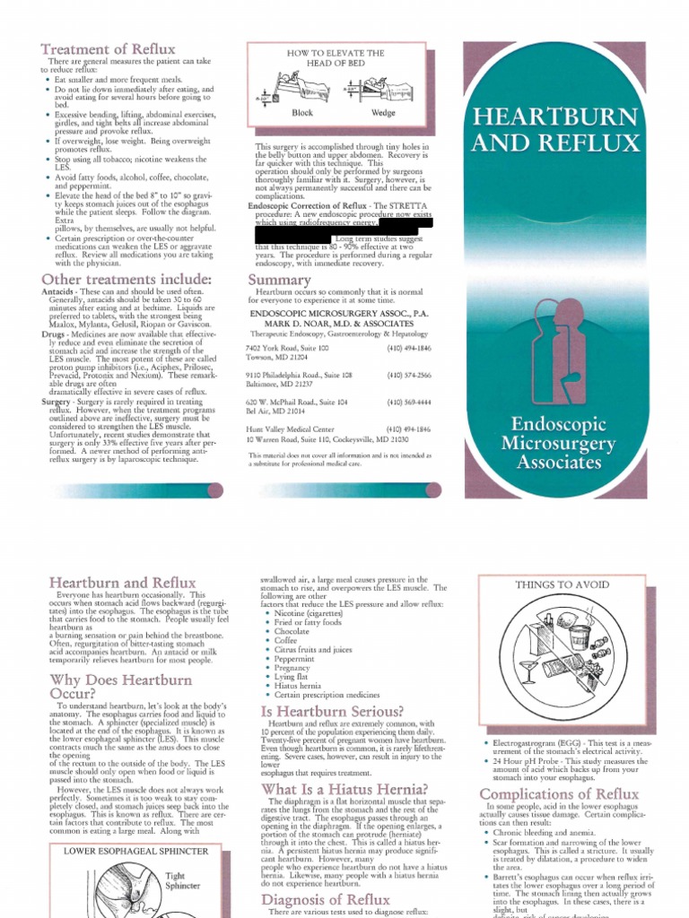 An In-Depth Look at Heartburn, Its Causes, and Treatment Options | PDF ...