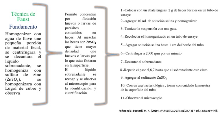 Técnica de Faust | PDF