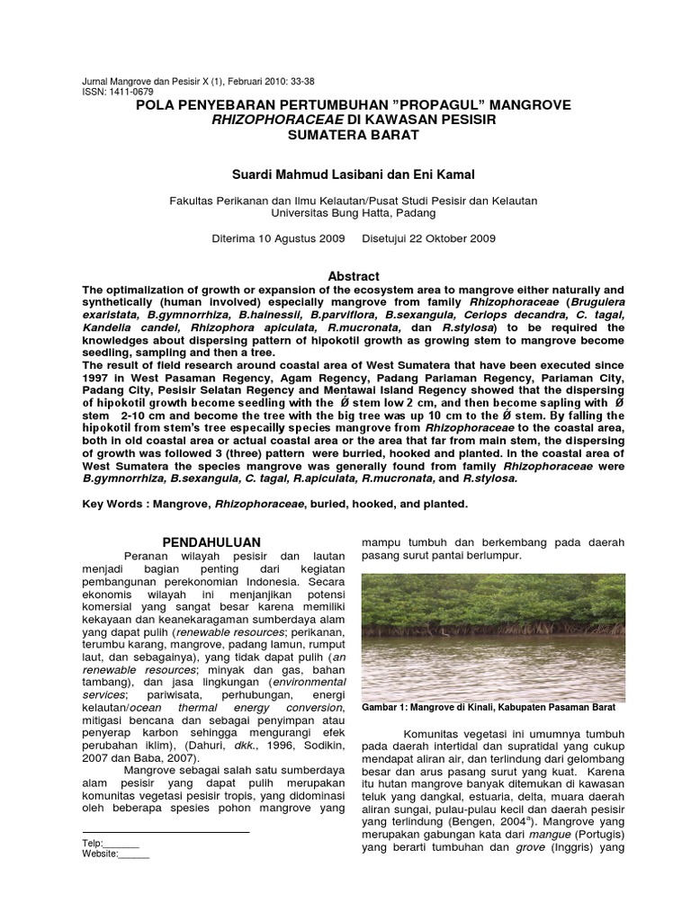 4.pola Penyebaran Pertumbuhan Propagul Mangrove | PDF | Ecoregions ...