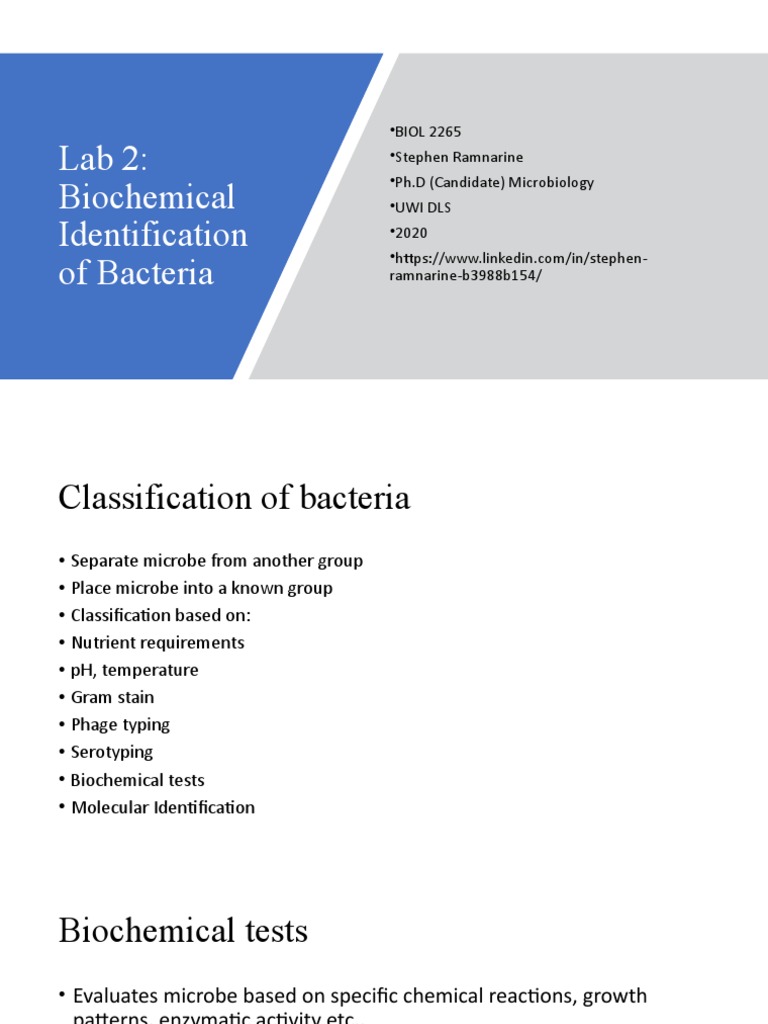 Lab 2 - Biochemical Identification of Unknown Bacteria | PDF | Growth ...
