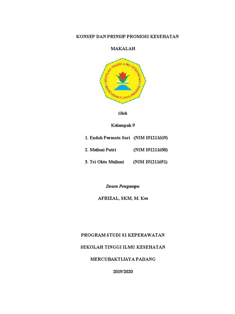 Tugas Kelomok 9 Pak AFRIZAL KONSEP DAN PRINSIP PROMOSI KESEHATAN | PDF