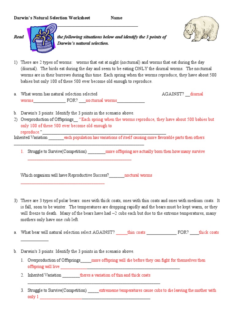 Natural - Selection Scenarios (1) COMPLETE | PDF | Natural Selection ...