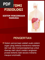 Essae Si 850 Weighing System | PDF