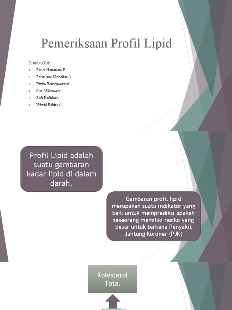 KELOMPOK 1 - Pemeriksaan Profil Lipid | PDF