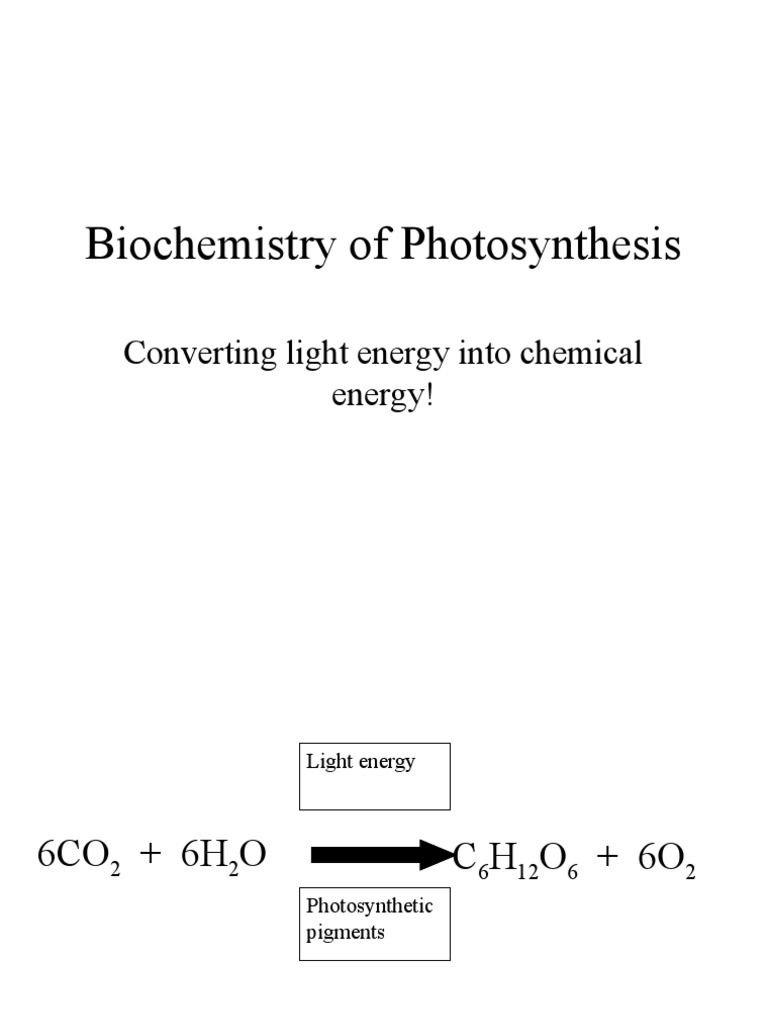 Photosynthesis: Biochemistry Overview | PDF | Photosynthesis | Chlorophyll