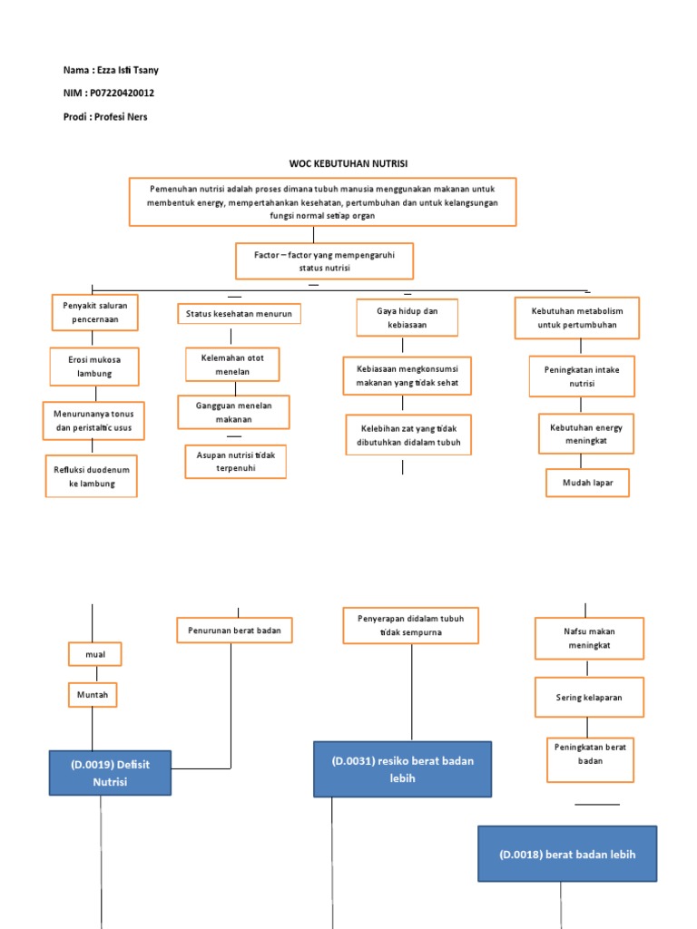Pathway Kebutuhan Nutrisi WOC | PDF