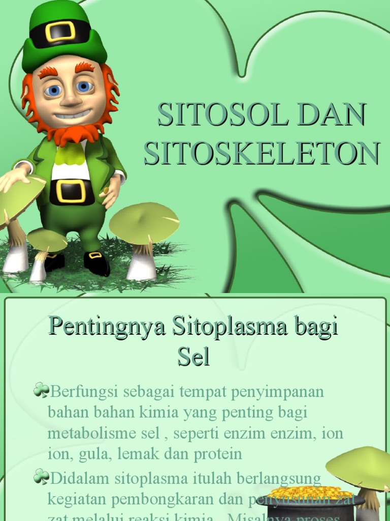 Sitosol Dan Sitoskeleton | PDF