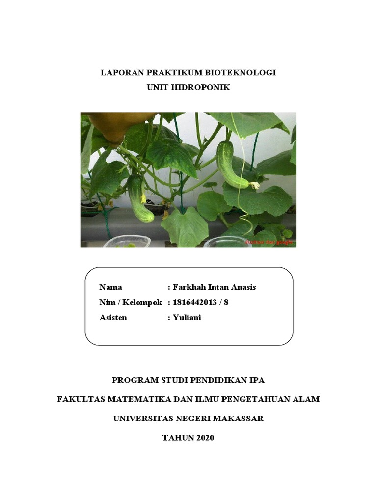 Laporan Hidroponik | PDF