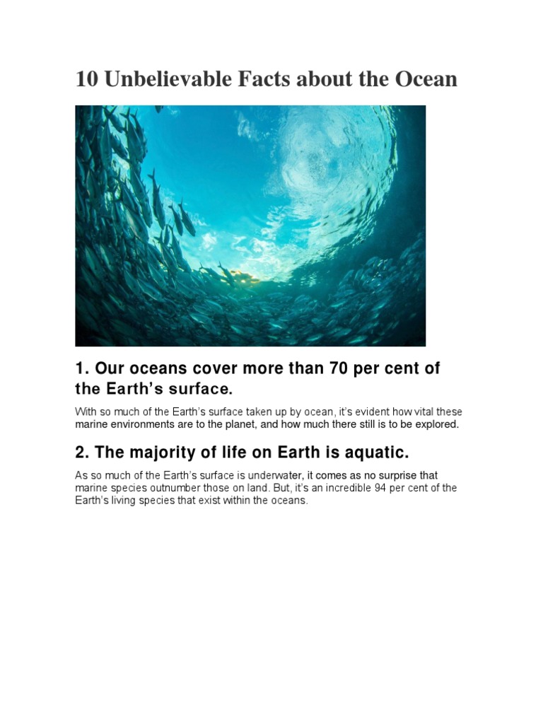 Ocean Facts for Curious Minds | PDF | Oceans | Marine Biology