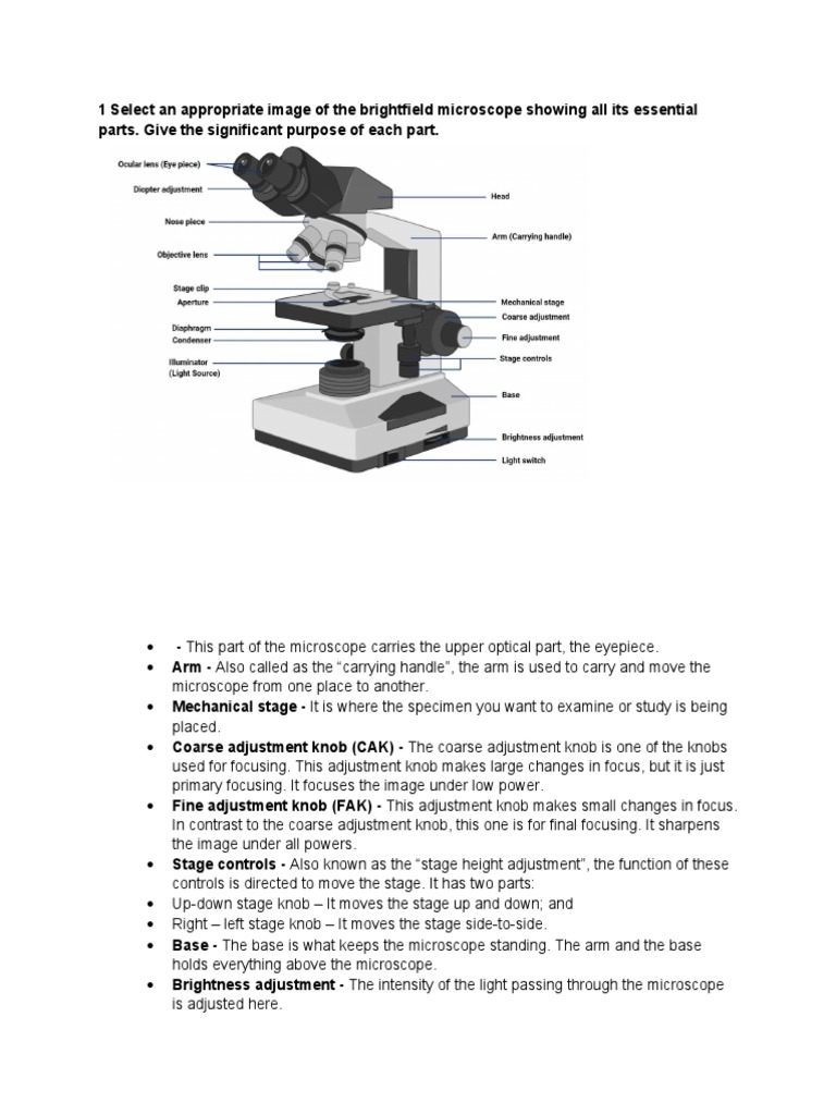 MicroPara First Lab Activity | PDF | Glass Applications | Laboratory ...